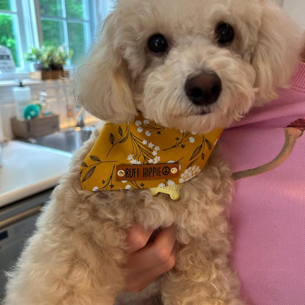 Ruff Hippie Dog Bandana Tie and Snap, Green Mushrooms - Etsy