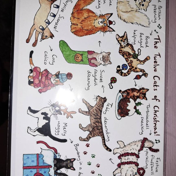 The Twelve Cats of Christmas... A Christmas Card for Cat Lovers! - Etsy UK