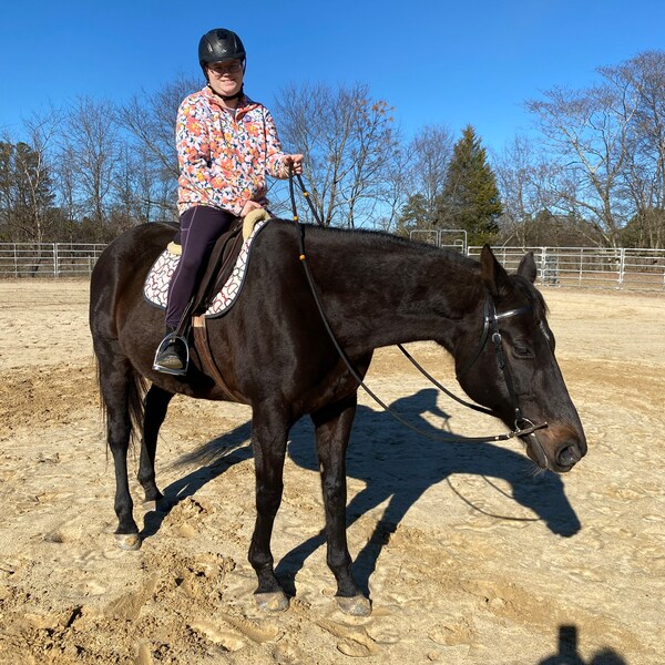 Halter CUSTOM Hybrid Halter Braided Halter Breakaway Halter Leather ...