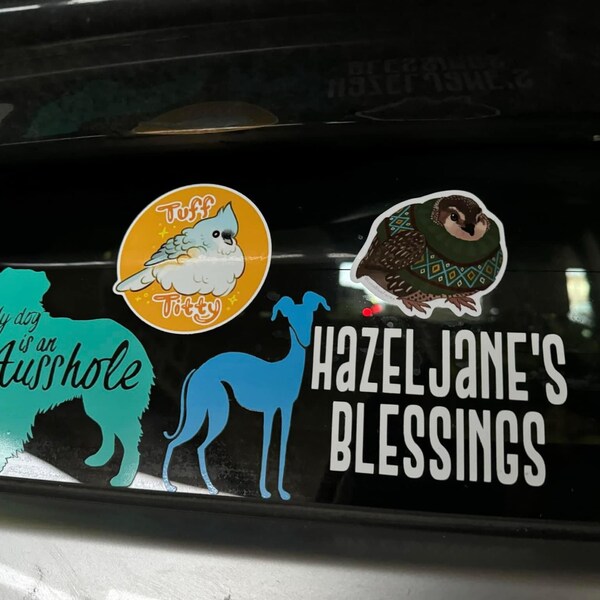 Western Critter Sticker | Bandito Raccoon Sticker - Etsy