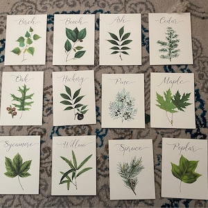 Cactus Table Numbers Desert Table Tents Cactus Table Cards - Etsy