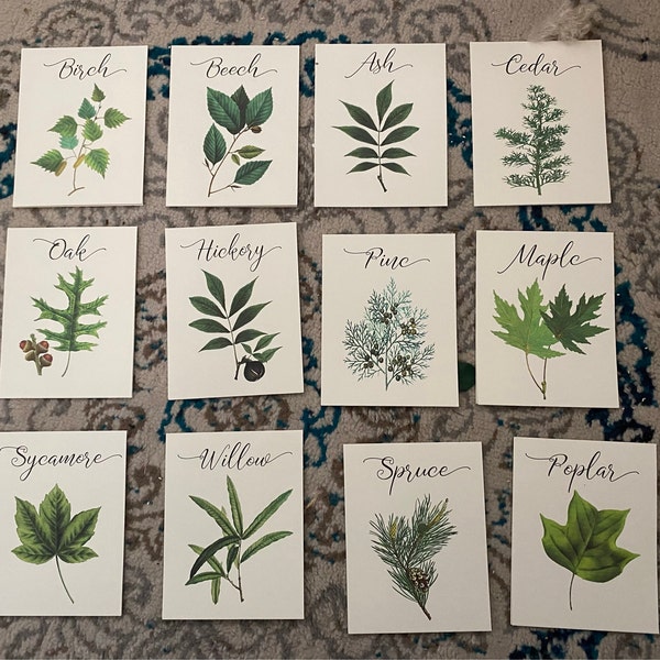 Woodland Leaf Table Cards, Table Tents, Tree Table Numbers, Nature ...