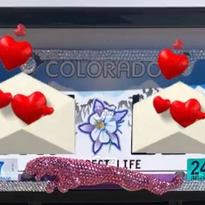 Clear Inset Stones Crystal Sparkle Auto Bling Rhinestone - Etsy