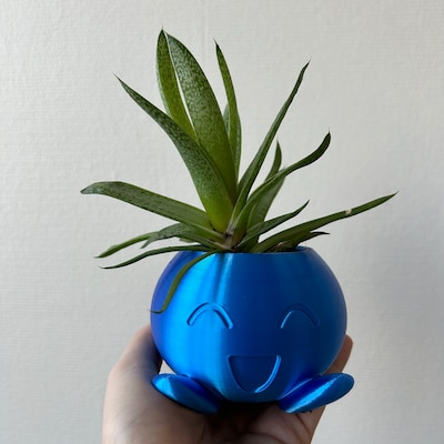 Pikachu Planter, Pokemon Planter, Succulent, 3D Print - Etsy