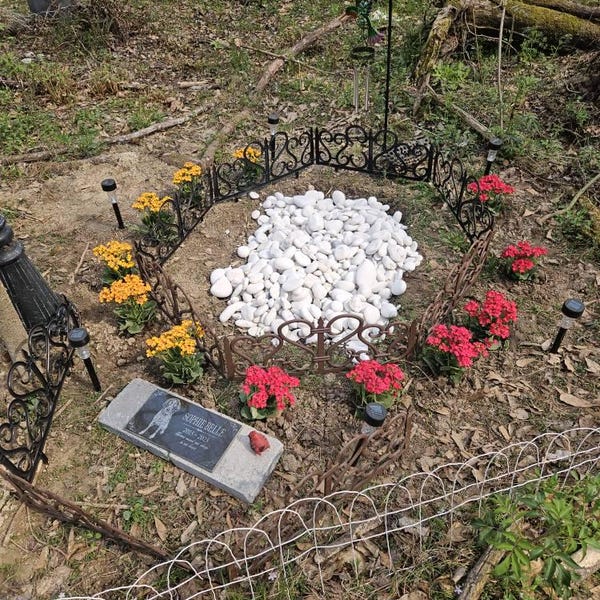 Personalized Memorial Stone for Loved Ones | Grave Marker, Burial ...