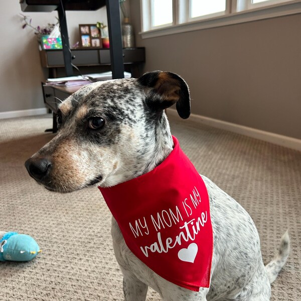 Ball-less & Flawless Dog Bandana, Funny Dog Bandana, Neuter Bandana ...