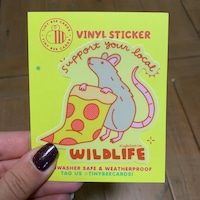 Coffee Cat Vinyl Sticker catfeine Coffee Sticker, Caffeine Cat Pun, Cat ...