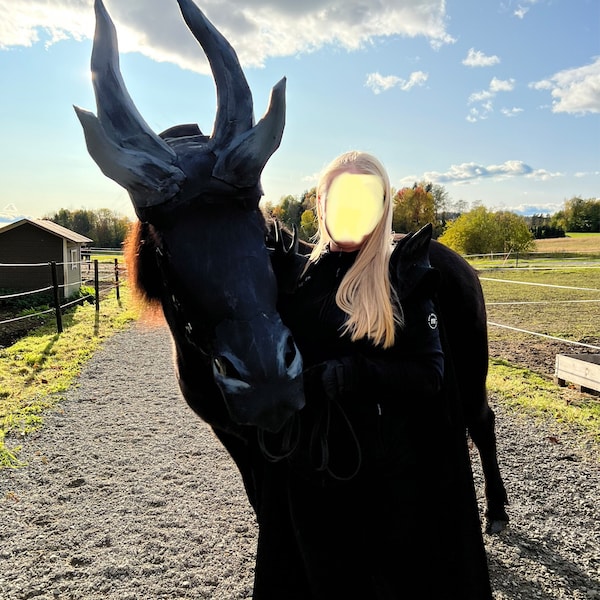 Dragon Knight Horse Chanfron Pattern - Etsy