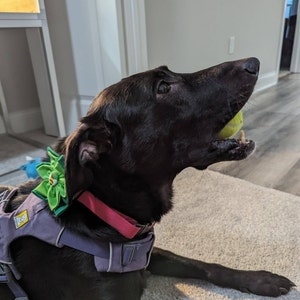 Keychain, Key Fob, Llama Keychain, Llama Key Fob, Animal Key Fob ...