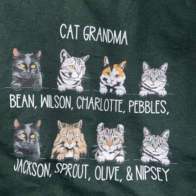 Comfort Colors Custom Cat Face Shirt Personalized Cat Breed T-shirt ...