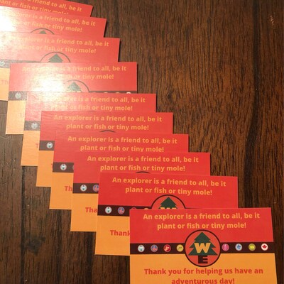 Set of 10 Wilderness Explorer Inspired Disney Cast Member - Etsy