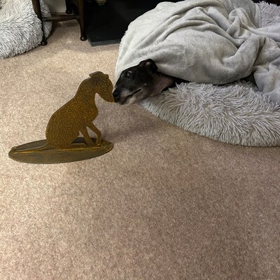 Rusty Metal Greyhound/whippet/lurcher Gift, Greyhound/whippet Outdoor ...