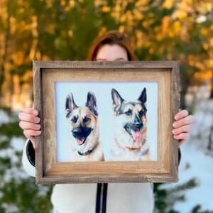 Blue Jay Colored Pencil Drawing Art Print - Etsy