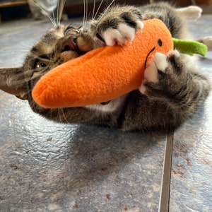 Catnip Cannoli Cat Toy - Etsy