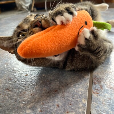 Catnip Cannoli Cat Toy - Etsy