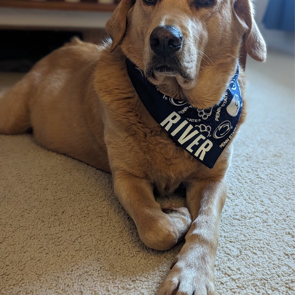 Penn State Dog Bandana: Personalized PSU Design - Etsy