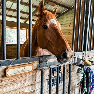Fancy Horse Stall Name Plate Solid Brass and Wood Personalized, Stall ...