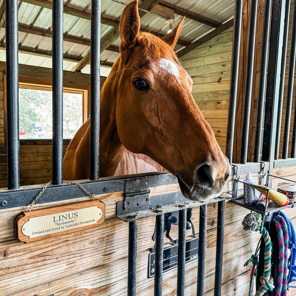 Fancy Horse Stall Name Plate- Solid Brass and Wood - Personalized ...
