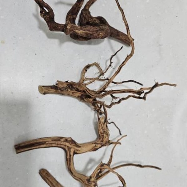 Root Twigs - Etsy