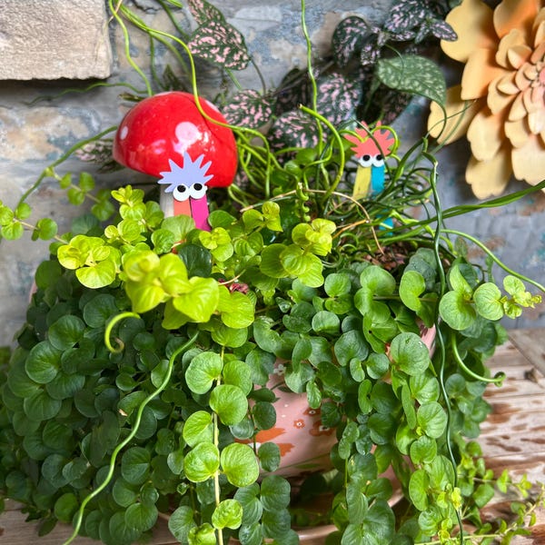 Don't Step on the Mome Raths Wall Sign Alice in Wonderland - Free ...