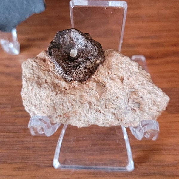 Aura Opal Core for Meditation and Aura Cleansing - Etsy