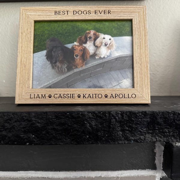 Best Dogs Ever | Personalized Picture Frame | Dog Lover Dog Person Dog ...