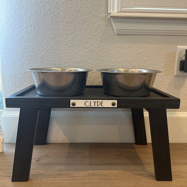 Modern Elevated Dog Feeder | Pretty Girl Dog Bowl Stand | Personalized ...