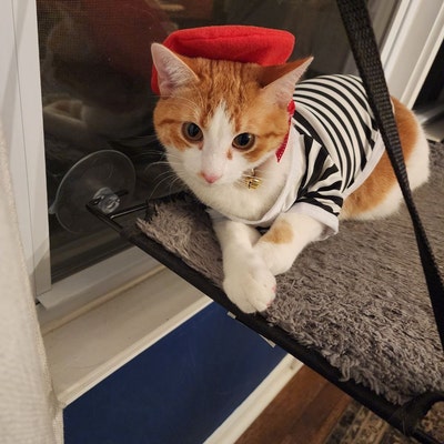 Complete French Cat Outfit Cat Beret Ascot and Striped Shirt - Etsy
