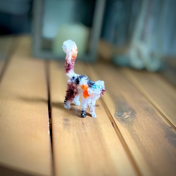 SURPRISE FUNNY FERAL! One Posable Chenille Stem, Pipe Cleaner Kitty Cat ...