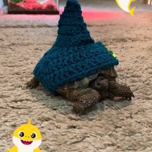 Tortoise Shark Sweater - Etsy