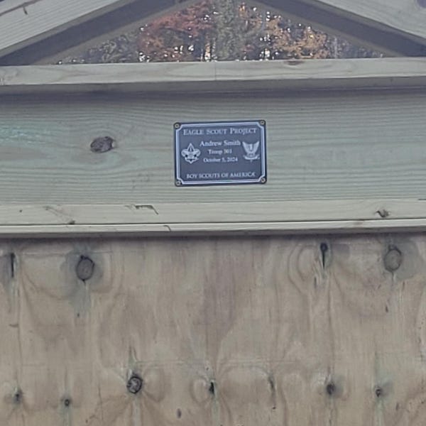 BSA Licensed AOL Den Leader Cub Scouts Plaque With Rank Insignia and ...