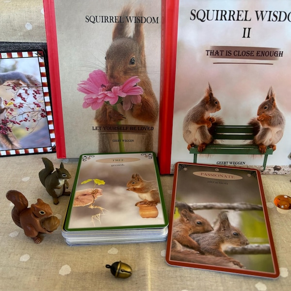 Squirrel Wisdom Book With Photos of the Red Squirrel - Etsy