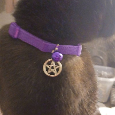 Witches Familiar Pentacle Cat Collar Adjustable in Black, Blue, Orange ...