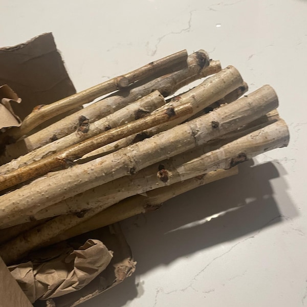 20 White Birch Sticks. Wood Logs. Wedding Birch Decor. White Craft Wood ...