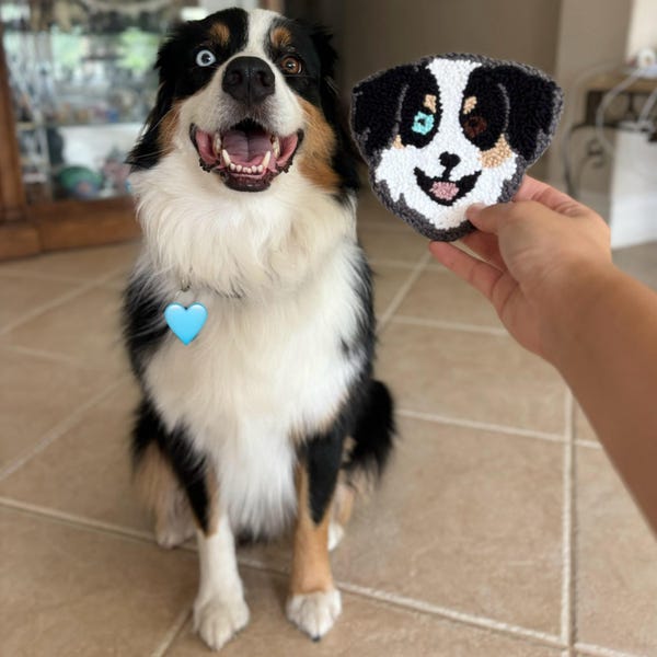 Custom Pet Coaster, Custom Animal Gift, Dog Coaster, Cat Coaster ...