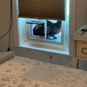 18 Inch Deluxe KP Cat Window Patio-catio-solarium small Deluxe Model - Etsy