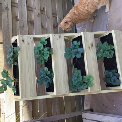 3 Tiered Freestanding Planter. 3 Tier Planter. Multi-level Planter ...