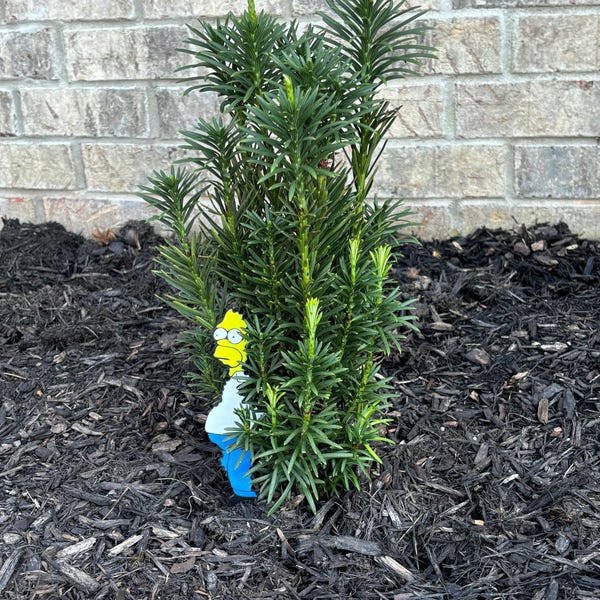 Homer Simpson Bush Meme Plant Stake Funny Gift the Simpsons Into the ...