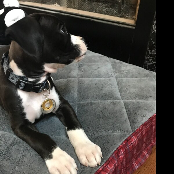 Moon Shadow Rugged Stainless Steel and Brass Dog Tag - Washer Pet ID ...