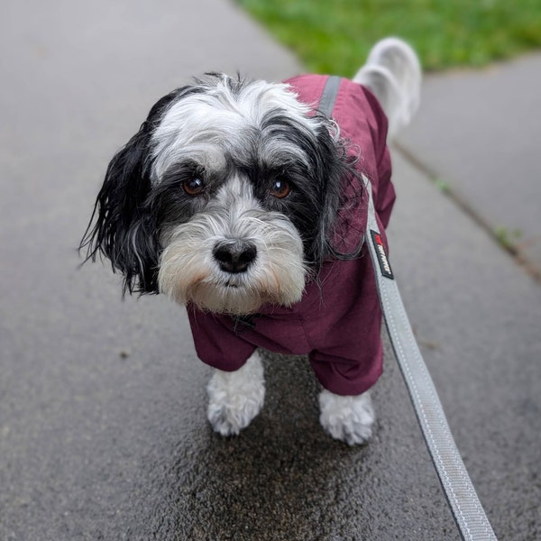 Waterproof & Windbreaker Dog Jacket Cozy Comfortable Overalls and ...