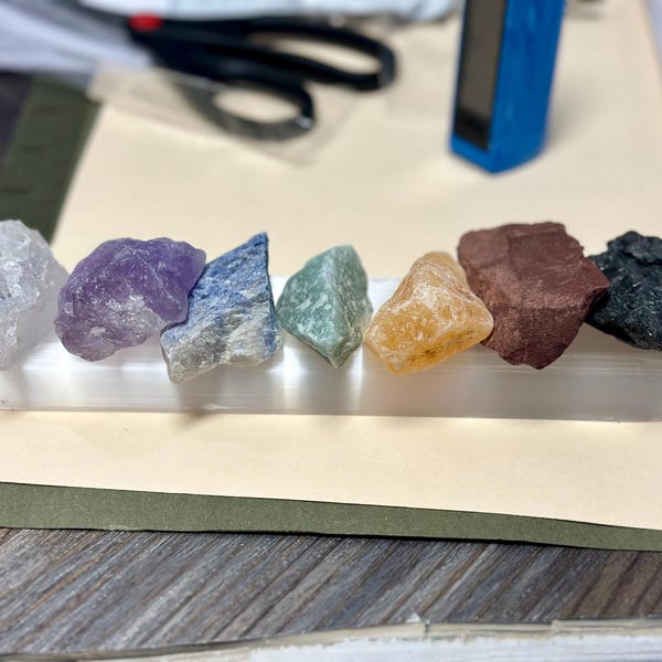 Fossil Mix Raw Fossil Hunting Kit Genuine Assortment of Fossils Bulk ...