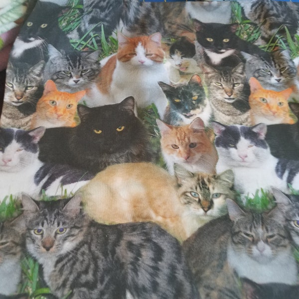 Cat Fabric - Kitty Kitten Calico Orange Black Photo Cat Montage Pet ...