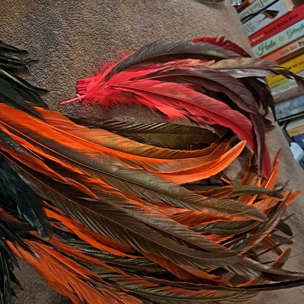 50 Pcs+ - Rooster Saddle Feathers - 2 Inch Strip - Two-tone, Pointy Tip ...
