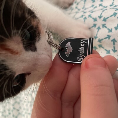 Personalized LED Dog Tag Light up Dog Tag Color Changing Stocking ...