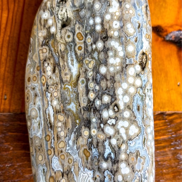 Premium-grade Ocean Jasper Slab – Textured Earthy Jewel With Multicolor ...