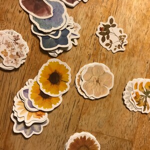 Pressed Flowers Stickers Set, Dried Flowers Stickers Pack, Floral ...