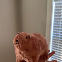 Elephant Shrew Stuffed Toy Native African Animal Shrew Plush Sengi ...