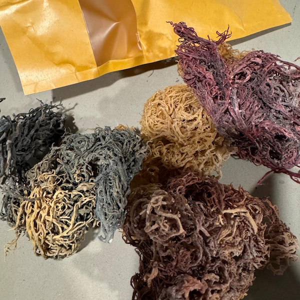 Wildcrafted Sea Moss From St.lucia - Organic Sea Moss - Natural Seamoss ...