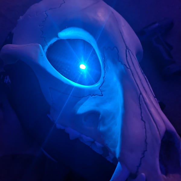 LED Lights Kit Cosplay Costume DIY Hobby Project Battery Powered ...