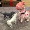 Wolf BJD Art Doll //articulate Wolf Doll/different Colours/paintable ...